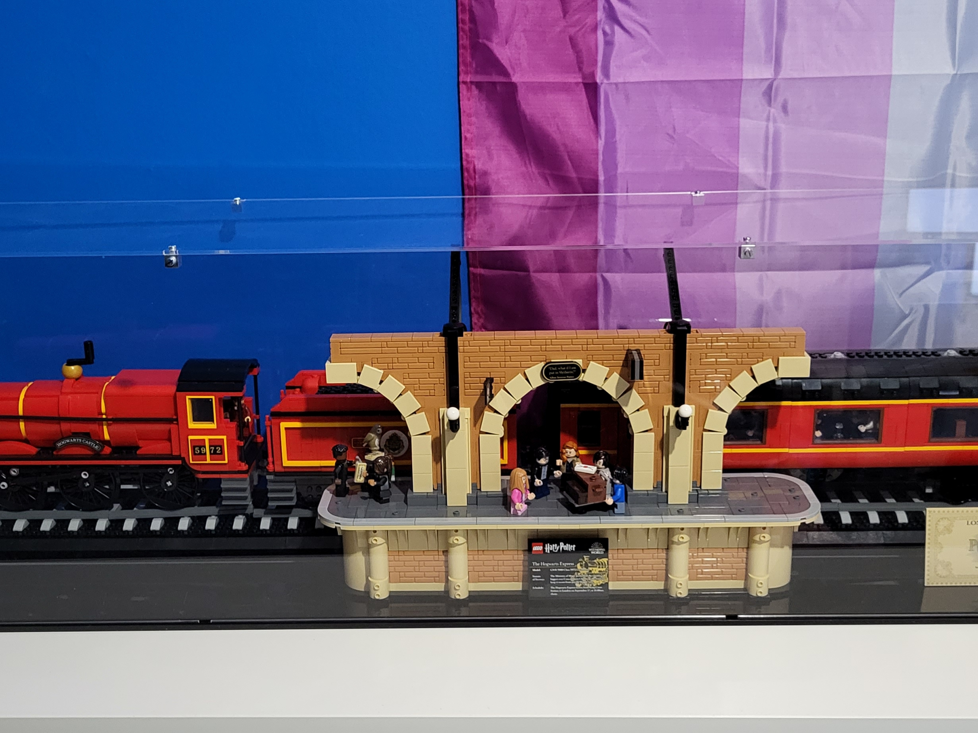 LEGO Hogwarts Express Collectors Edition Display Box (76405)