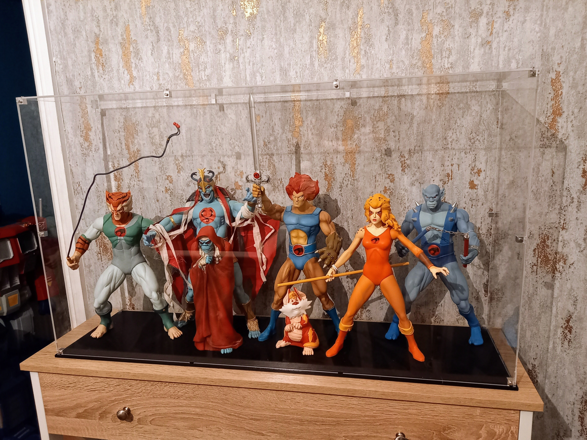 Custom Display Case - Matt Black Base