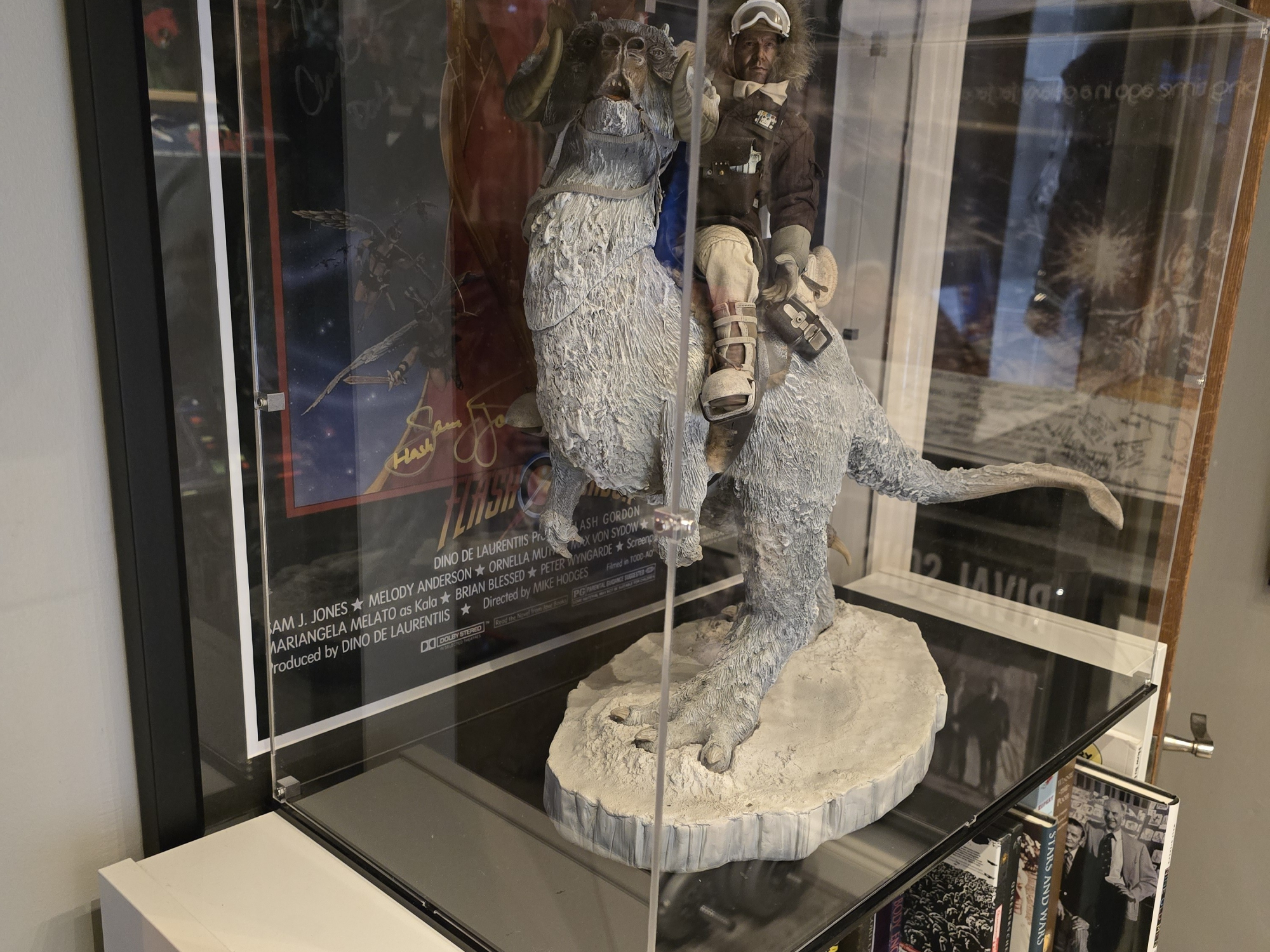 Custom Display Case - Matt Black Base