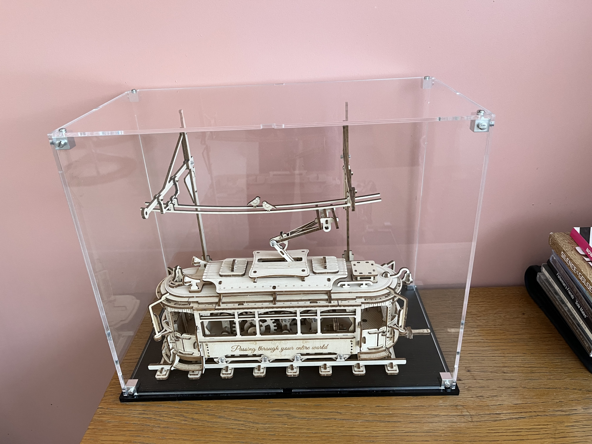 Custom Display Case - Matt Black Base